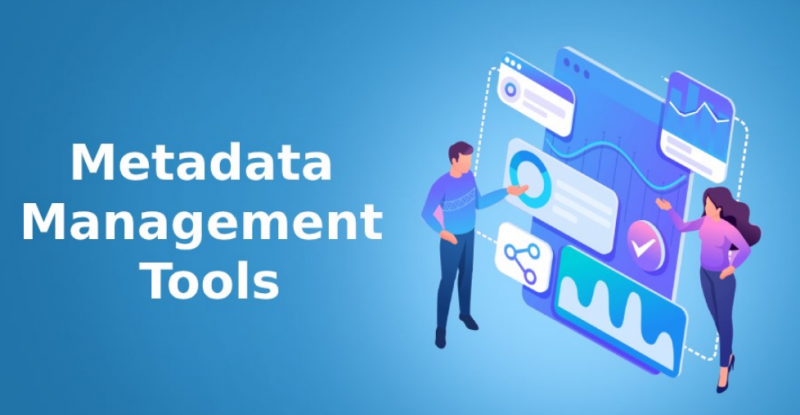 How Do Companies Choose a Metadata Management Tool?