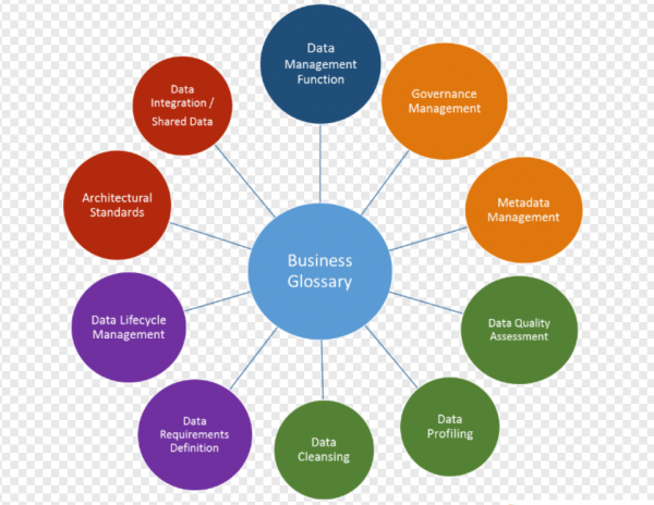 What Is A Data Glossary? | Data Glossary 101