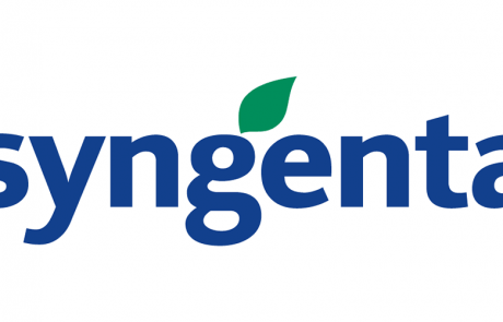 Automatic lineage analysis for SQL Server SQL queries - Data lineage ...